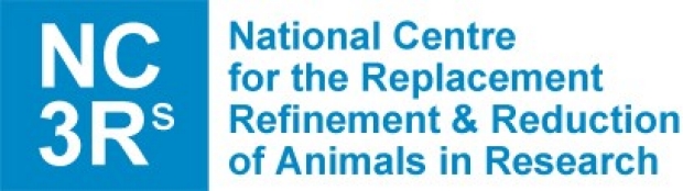 Experimentación y Bienestar animal | SENC